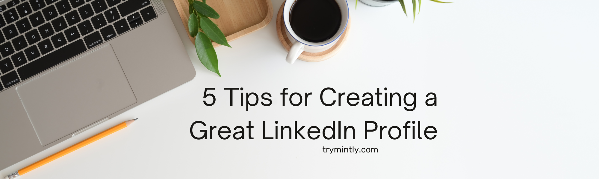 5 Tips for Creating a Great LinkedIn Profile - Mintly