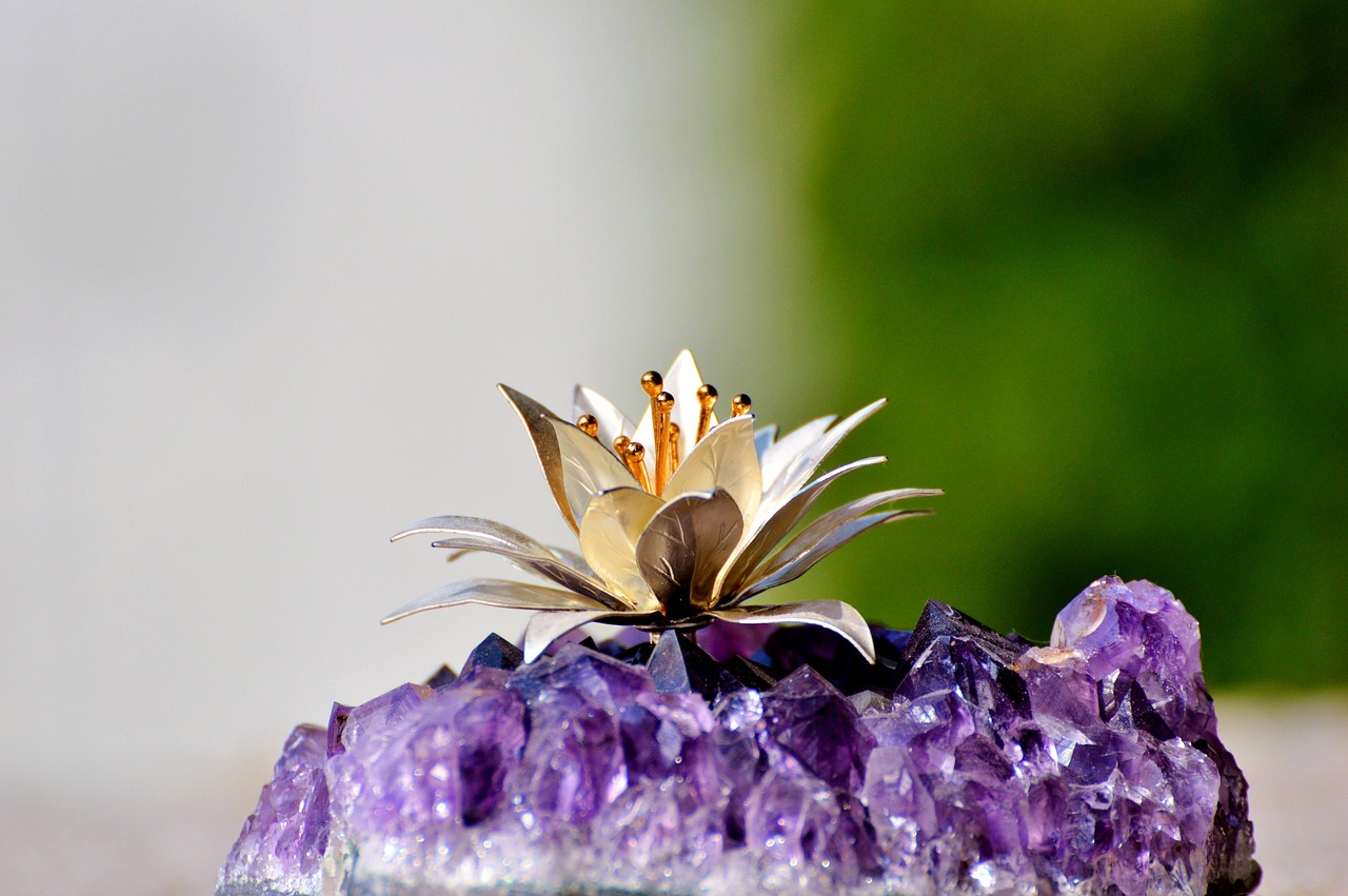 Different Types of Cabbing Machines: A Guide - Mintly