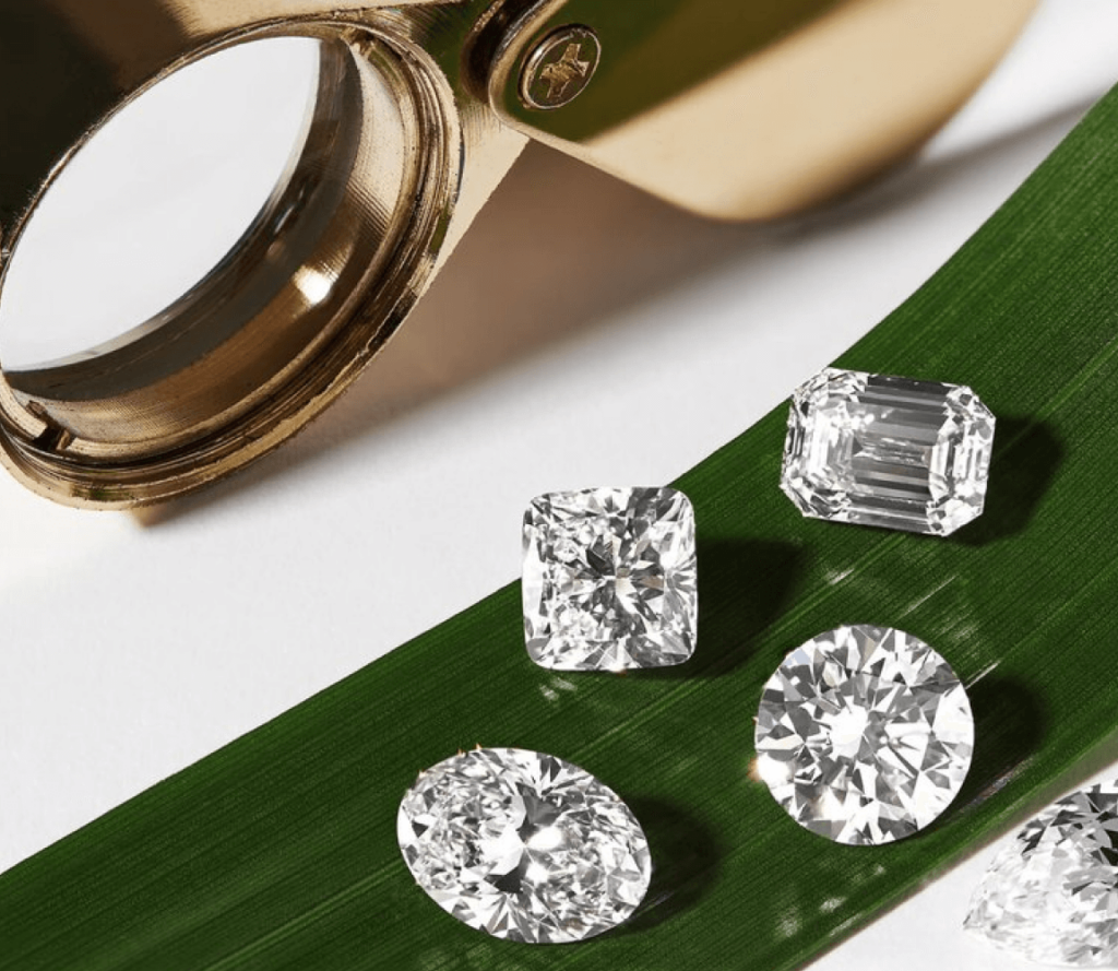 Top 10 Lab Grown Diamond Retailers in India in 2025 - Mintly